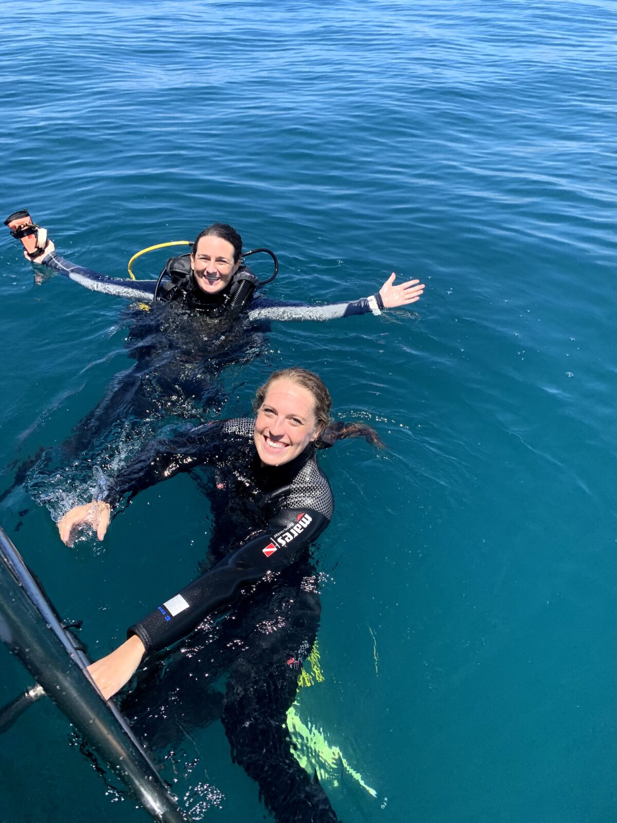 A Beginner’s Guide to Scuba Diving: Everything You Need to Know ...