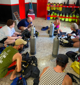 A Beginner’s Guide to Scuba Diving: Everything You Need to Know ...