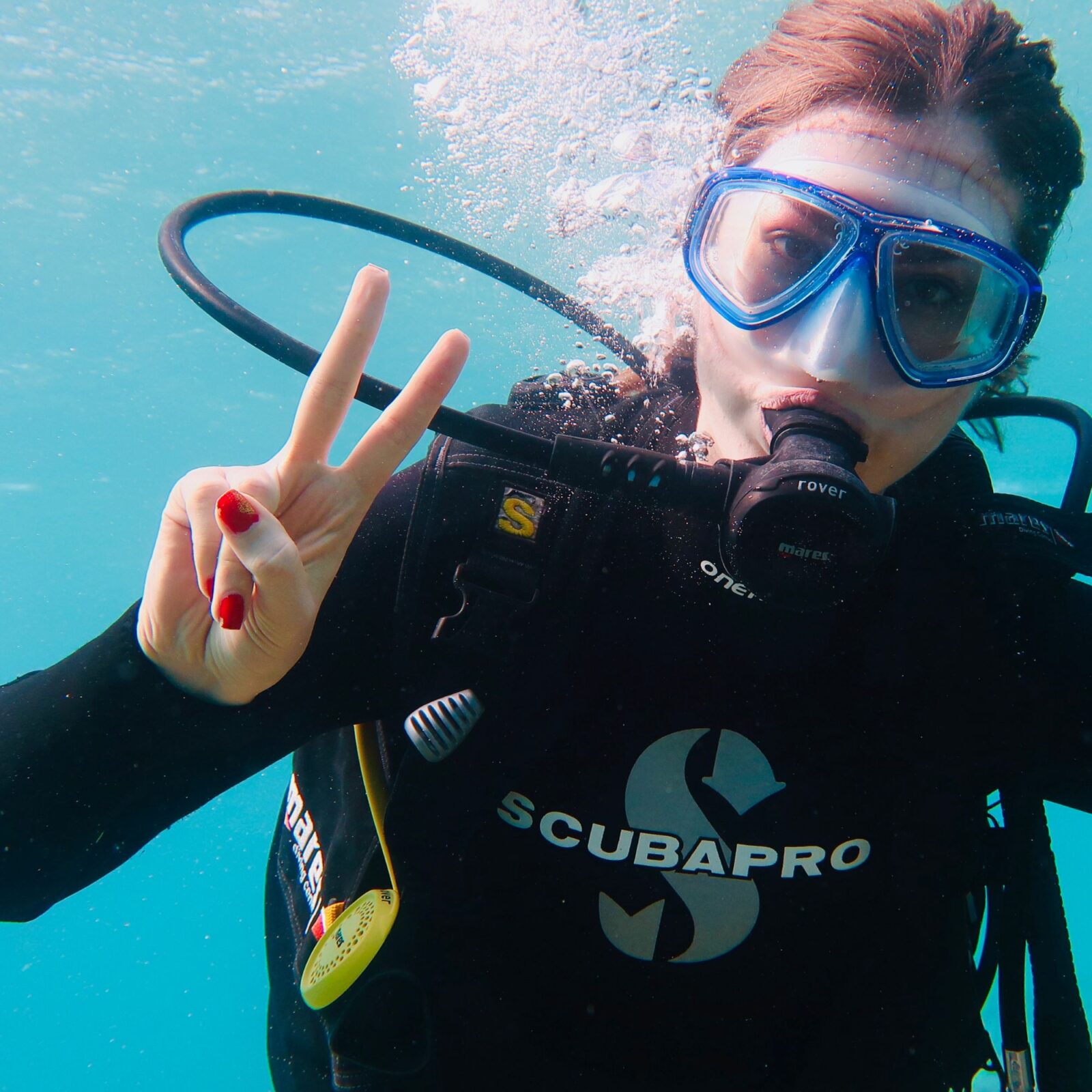 A Beginner’s Guide to Scuba Diving: Everything You Need to Know ...