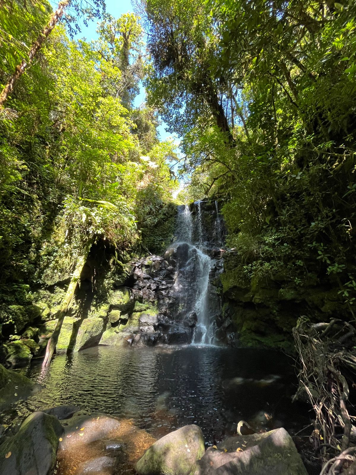 8 Secret Waterfalls You Can’t Miss in Costa Rica | divetheamericas.com