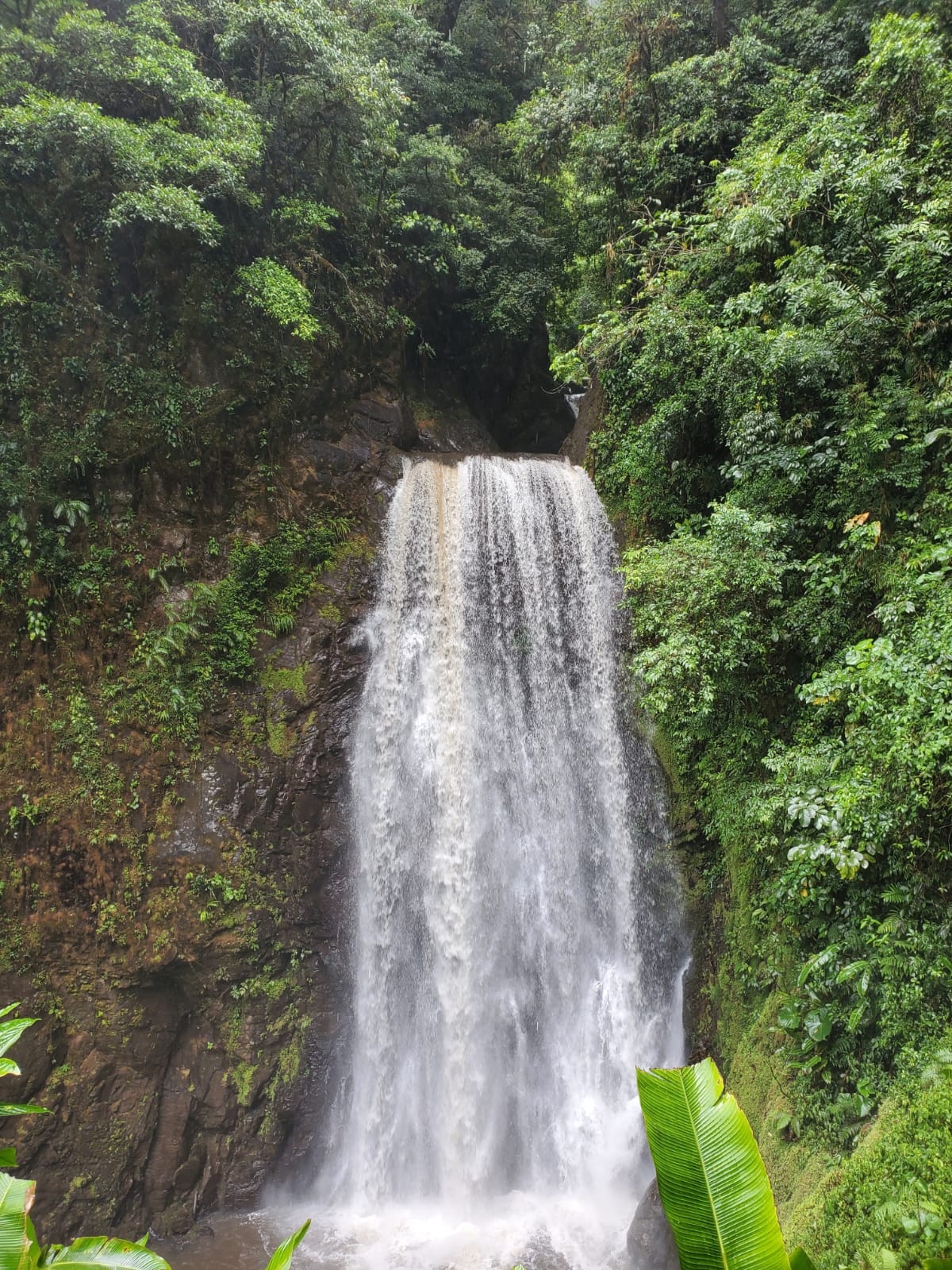 8 Secret Waterfalls You Can’t Miss in Costa Rica | divetheamericas.com